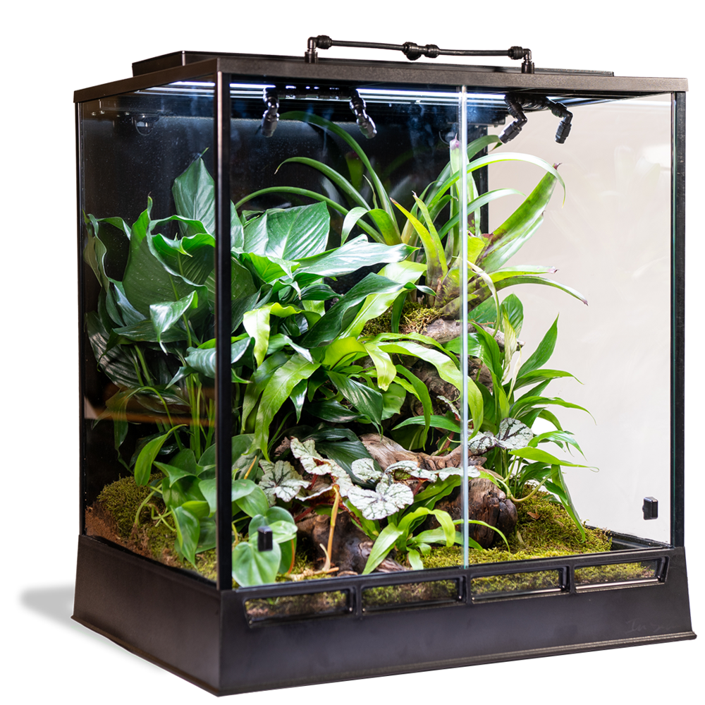 Vivariums / Tanks – Barks Pets